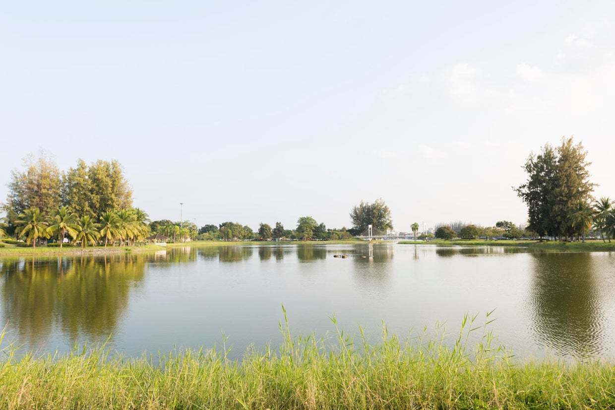 The cheapest U.S. cities for renters