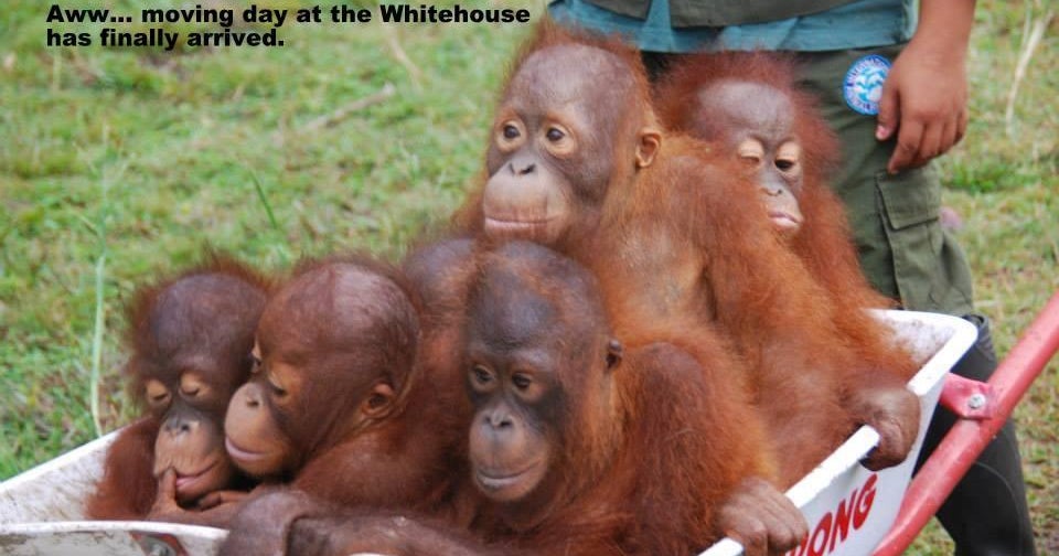 West York Mayor Charles Wasko asked to resign for racist Facebook posts ...