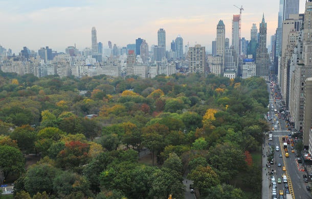 Fall foliage 2016