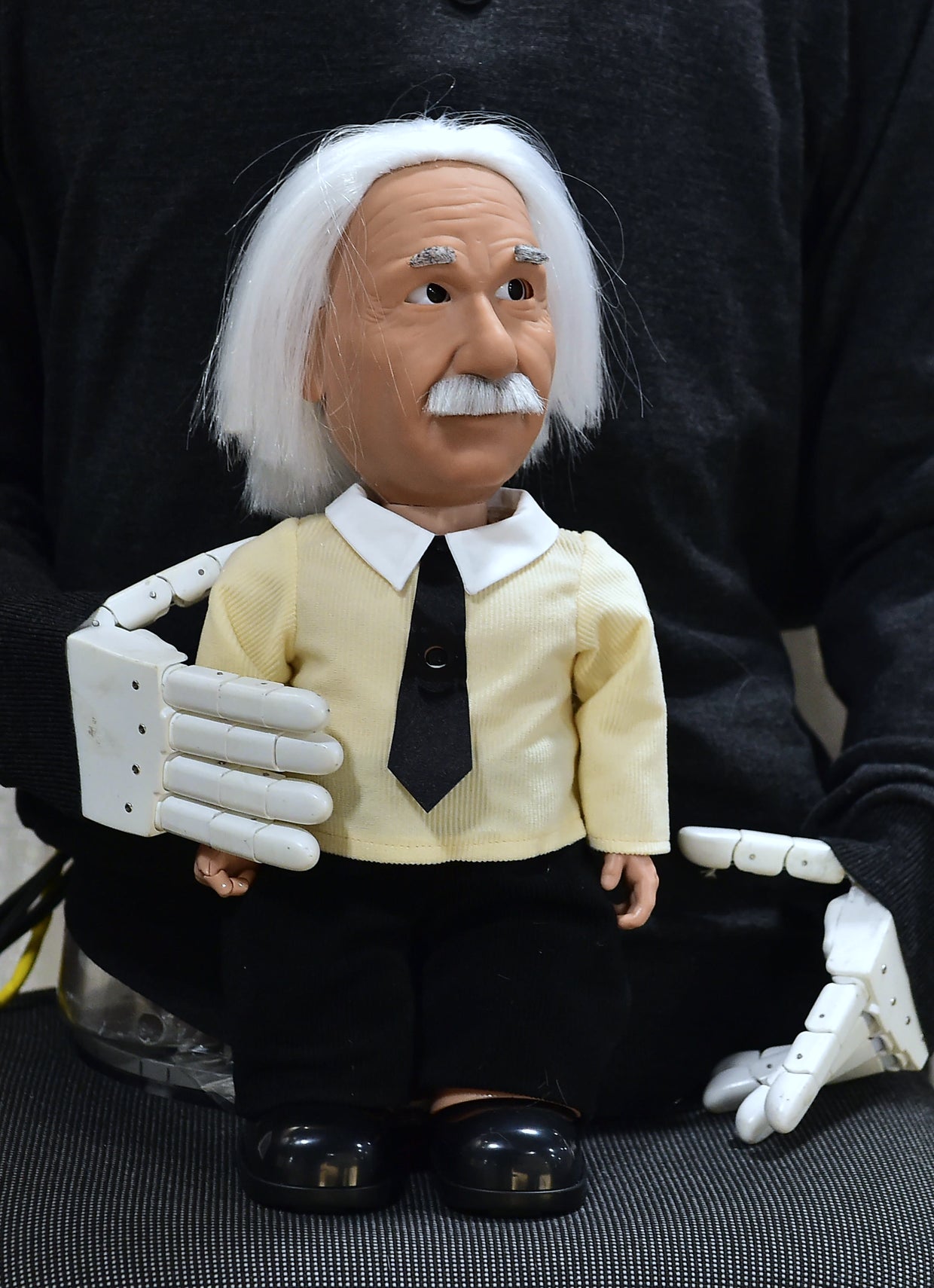 Robots steal the show at CES 2017