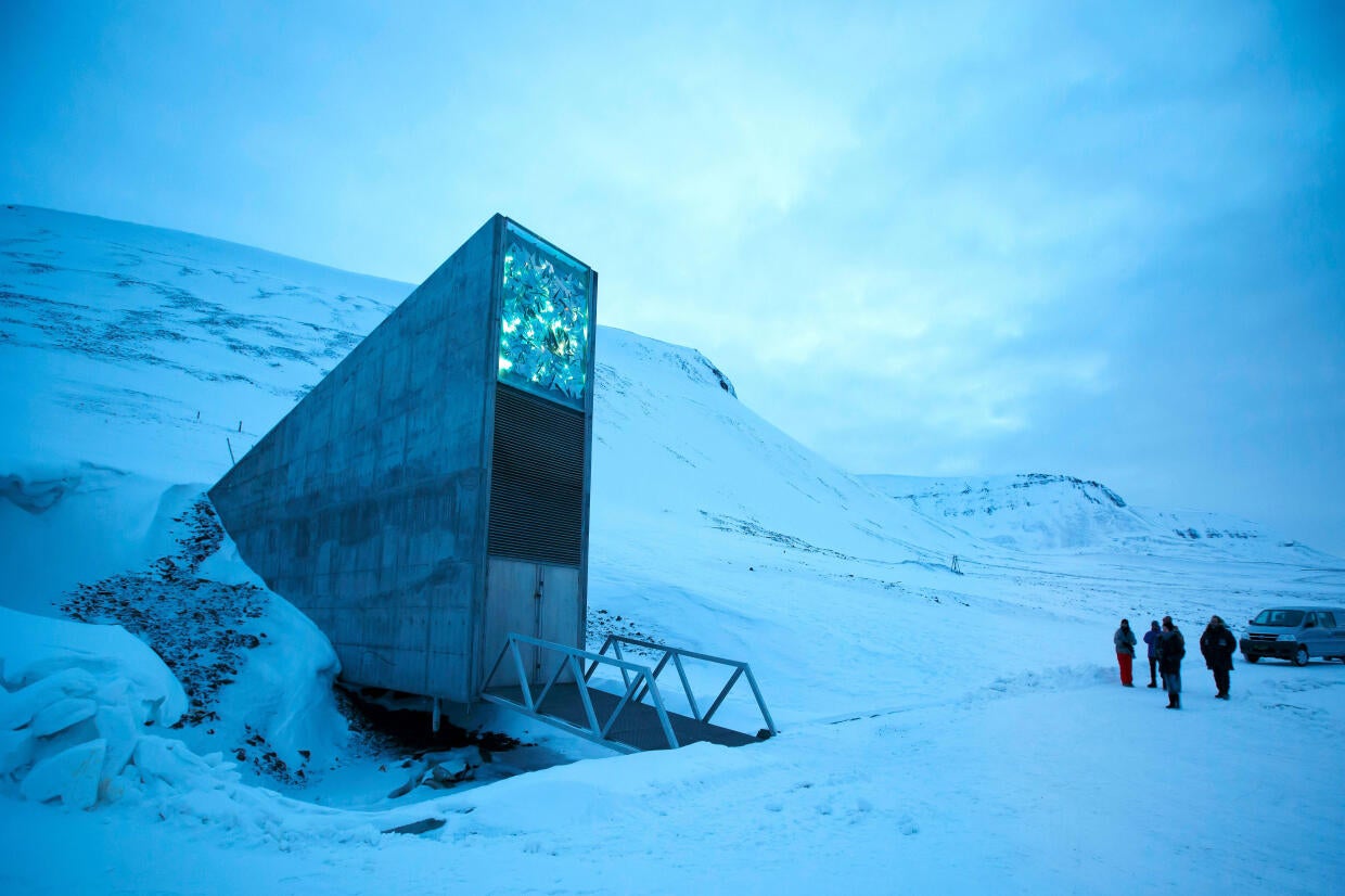 Arctic "doomsday" seed vault receives 50,000 new deposits - CBS News