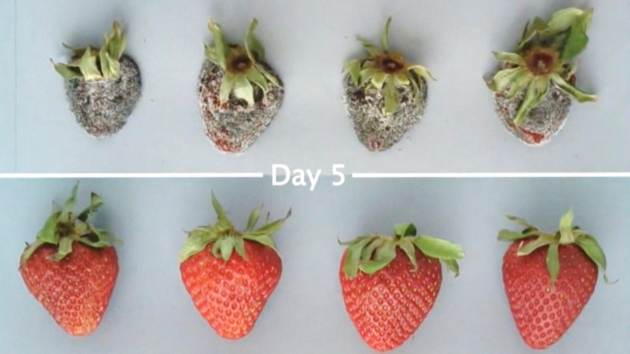 Organic material is being used to extend shelf life of fresh produce - Edipeel, from Apeel ...