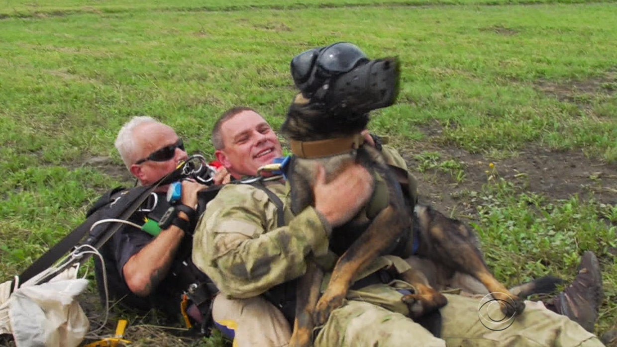 Are these skydiving dogs poachers' worst enemies? - CBS News
