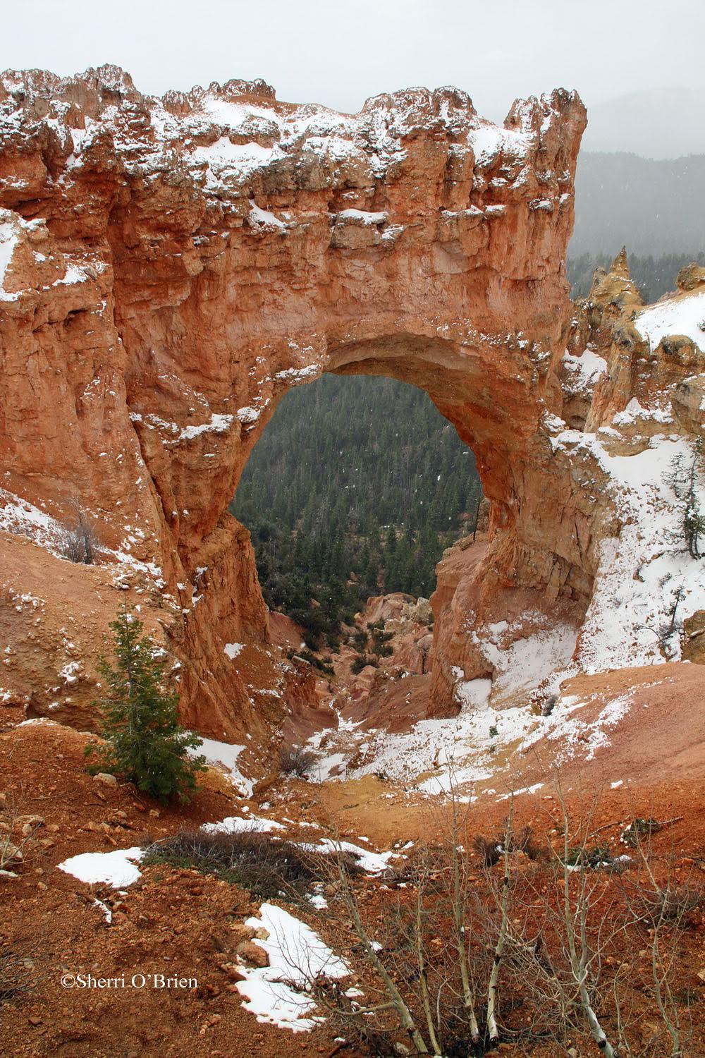 Nature up close: Bryce Canyon National Park - CBS News