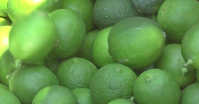 Limón mexicano para el mundo - CBS News