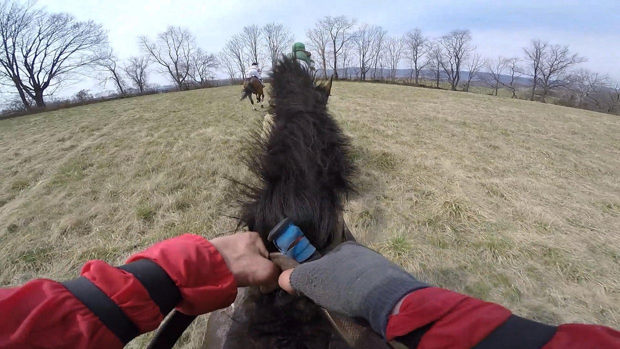 Danger and beauty of a lesser-known style of horse racing - CBS News