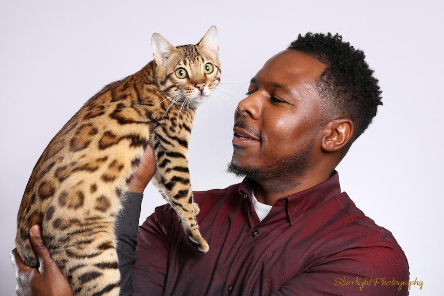 Meet the most expensive cat breeds in America