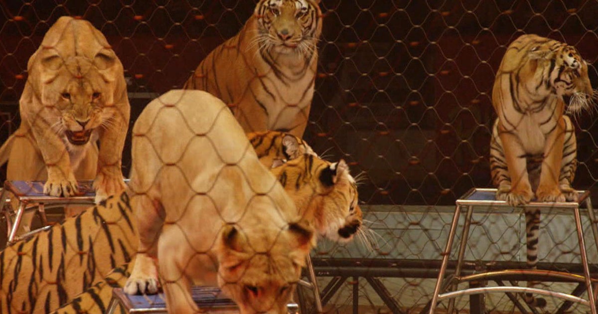 The "Greatest Show on Earth" folds its tent for good - CBS News