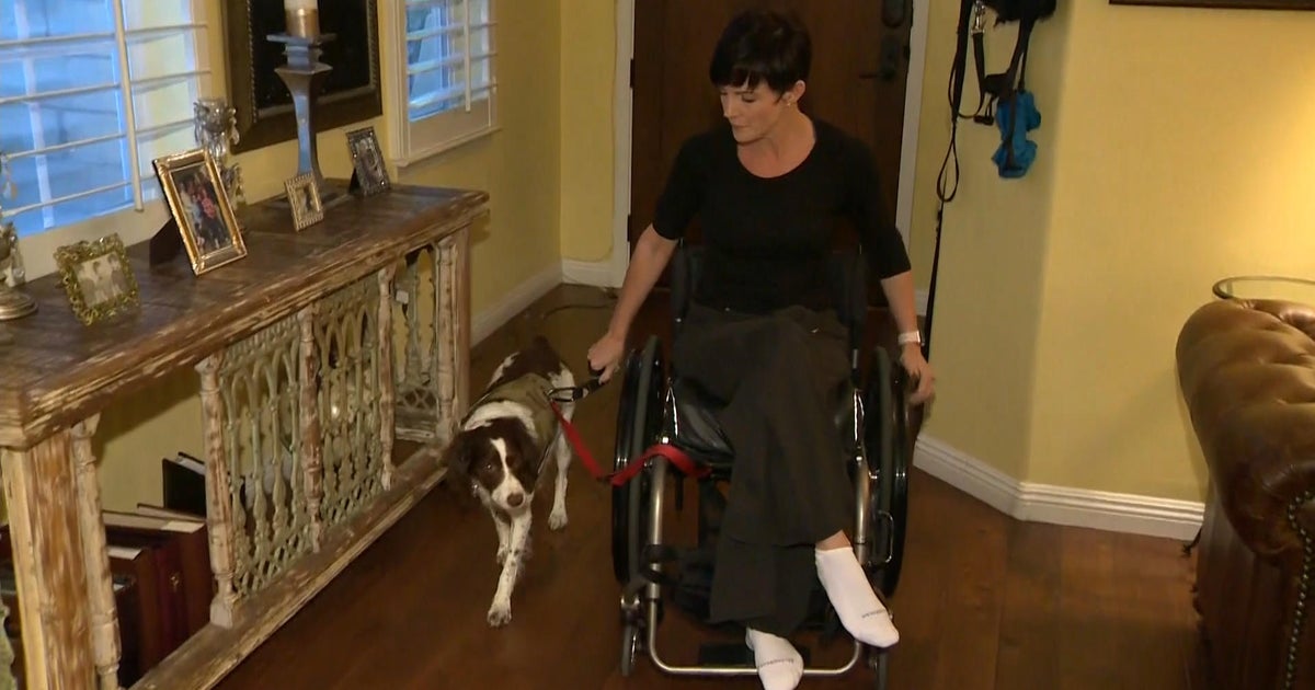 Service dog owner says she was denied access to airport lounge - CBS News