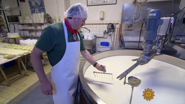 Gouda cheesemaking: A Dutch family tradition - CBS News