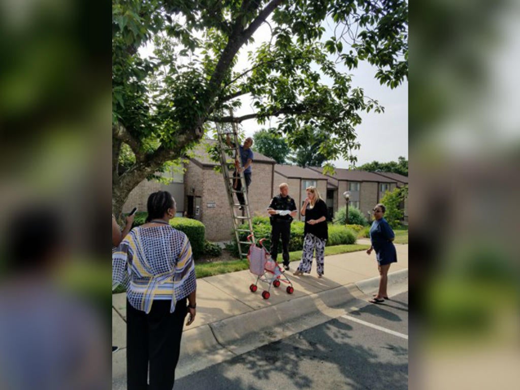 Noose found hanging from tree in Maryland, police say - CBS News