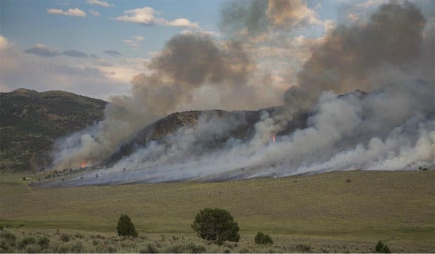Western wildfires