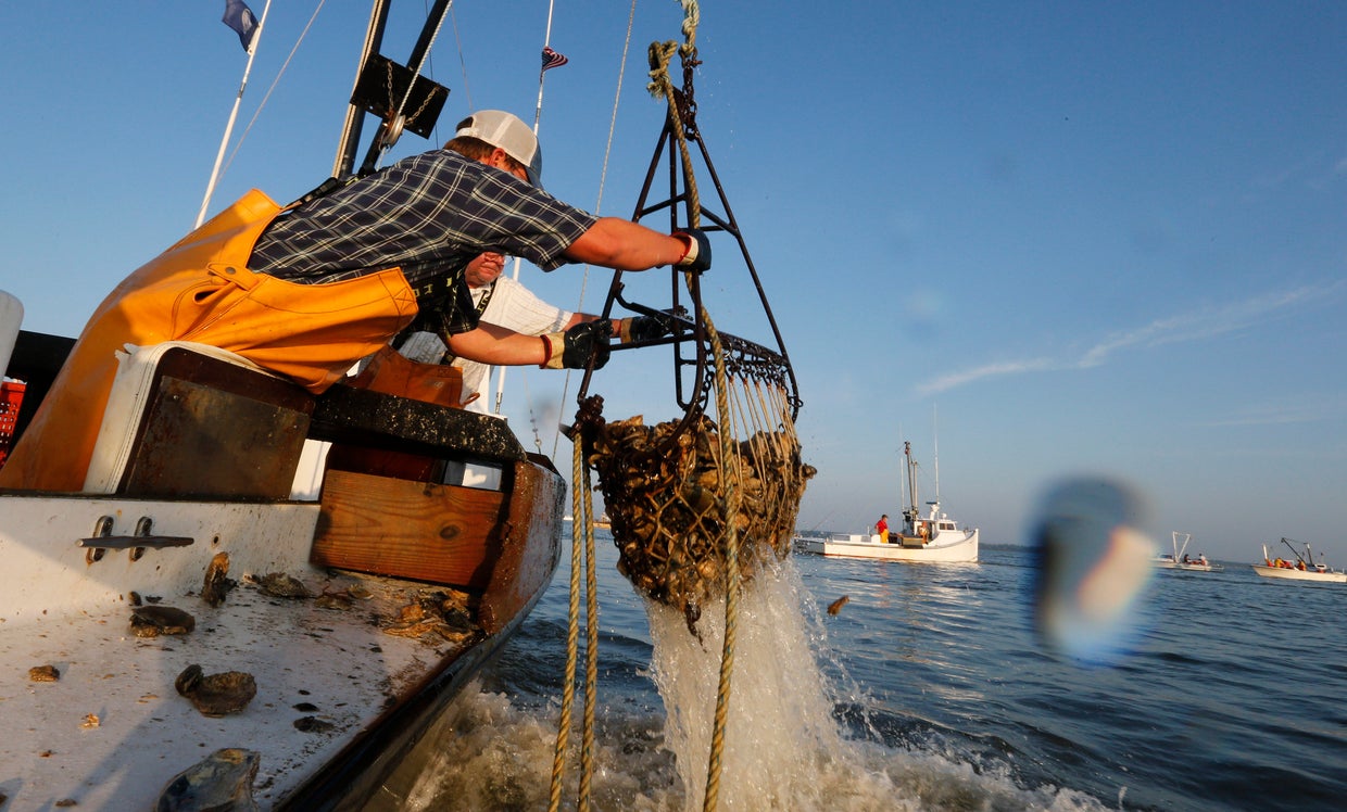The 20 deadliest jobs in America, ranked