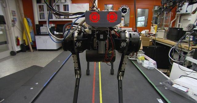 Powerful MIT robot could help as a first responder - CBS News