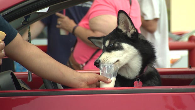 Frozen custard: Summer's hottest snack - CBS News