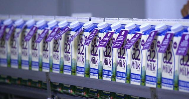 Xvideos suzana vieira