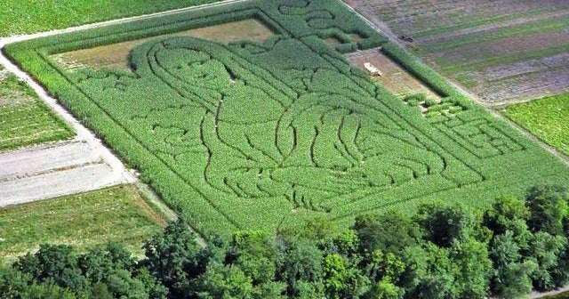 Massachusetts farm features elaborate corn mazes - CBS News