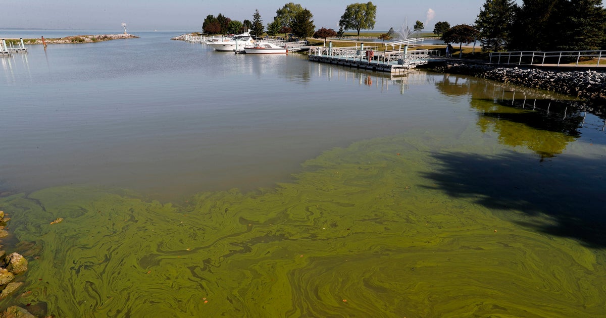 Toxic algae becoming severe threat nationwide - CBS News