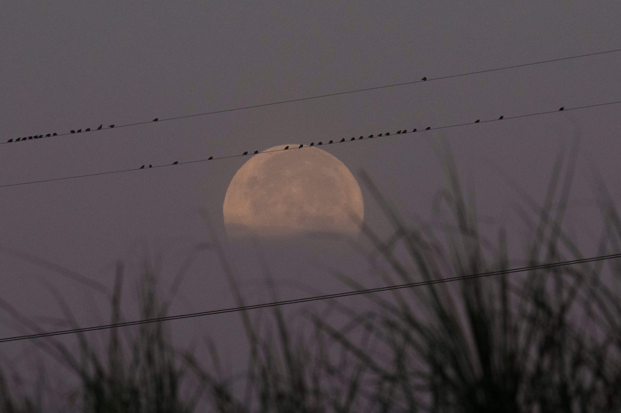 Supermoon rising