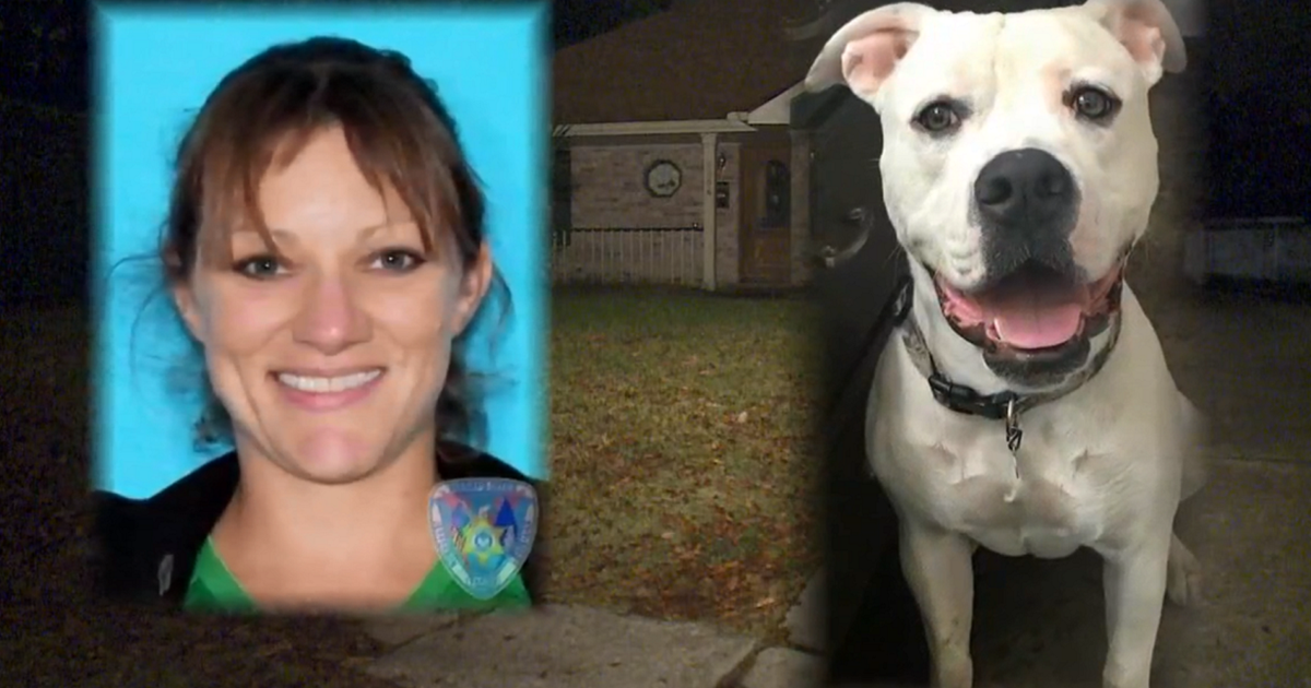 Veterinarian accused of shooting, killing neighbor's dog - CBS News