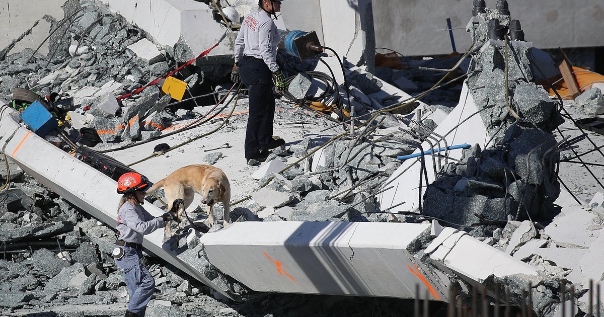 Bridge collapse today: Firms that built pedestrian bridge have history ...