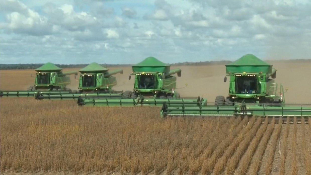 China already eyeing U.S. farmers in possible tariffs retaliation - CBS ...