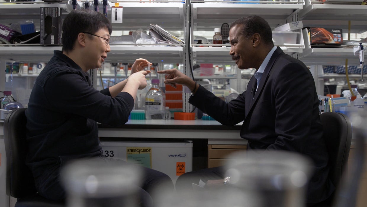 CRISPR: The gene-editing tool revolutionizing biomedical research - CBS ...