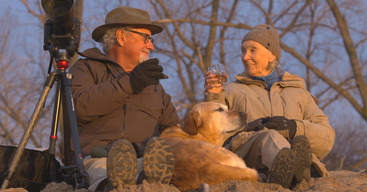Jane and Tom take in wildlife and whiskey - CBS News