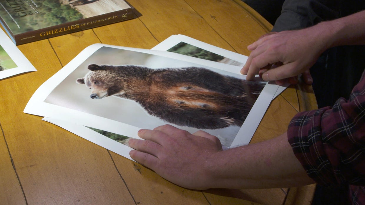 Show & tell with wildlife photographer Thomas Mangelsen - CBS News