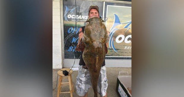 Record-breaking "monster" catfish reeled in on $20 Walmart fishing rod ...