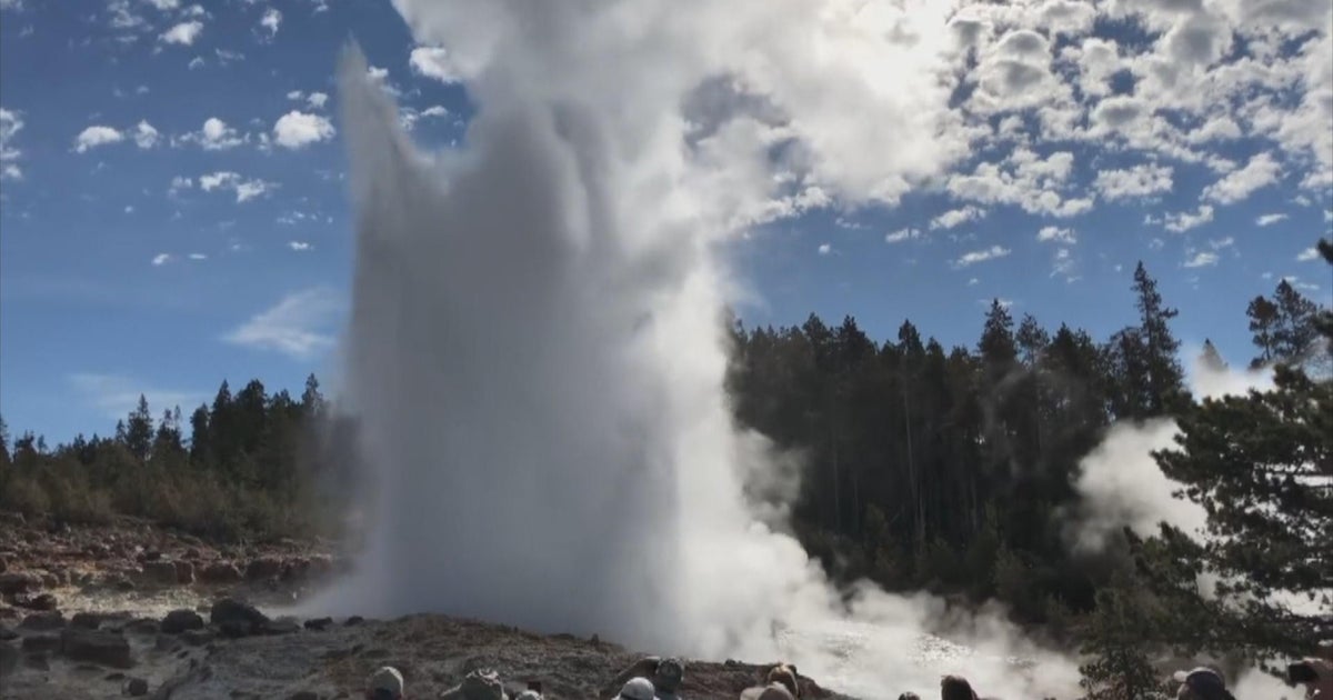 Yellowstone's Steamboat Geyser keeps erupting, and scientists want to ...
