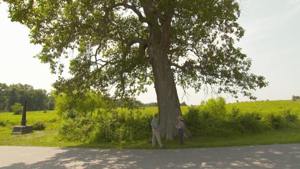 Rooted in history: Gettysburg's "Witness Trees" - CBS News