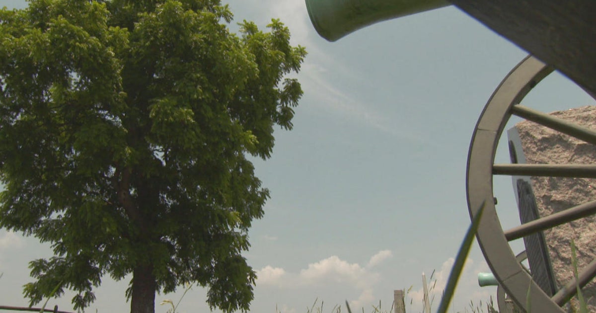 Rooted in history: Gettysburg's "Witness Trees" - CBS News