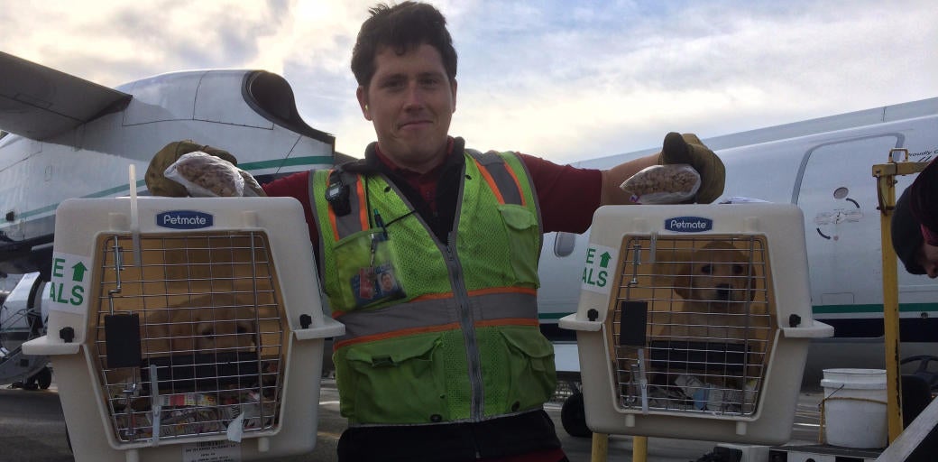 Richard Russell: Authorities don't believe man who stole Dash-8 Q400 ...