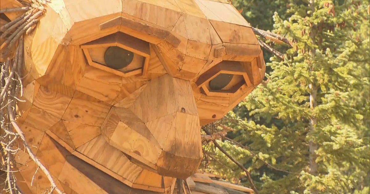 Breckenridge Hikers Surprised By Mountain Troll - CBS Colorado