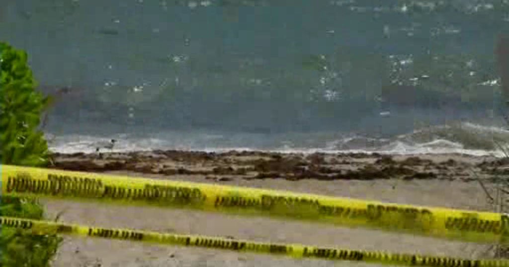 Red Tide Continues To Spread Up Florida's East Coast, Keys - CBS Miami