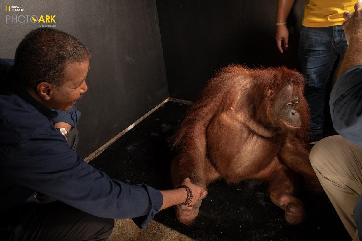 Joel Sartore's Photo Ark: Some of the National Geographic photographer ...