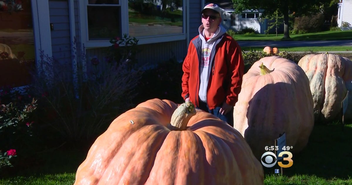 Man Wins Largest Pumpkin Contest In Illinois With 1,510 Pound Pumpkin ...
