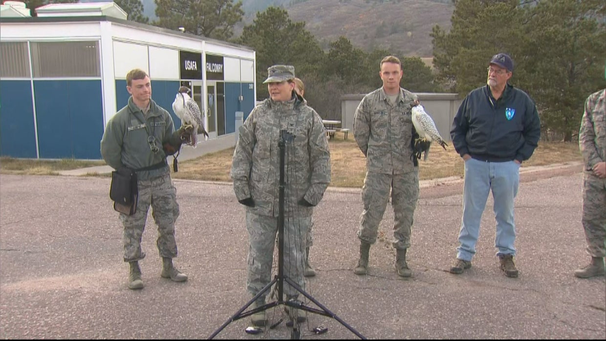 Air Force Academy Mascot Shows Off Aerial Superiority After Prank - CBS ...