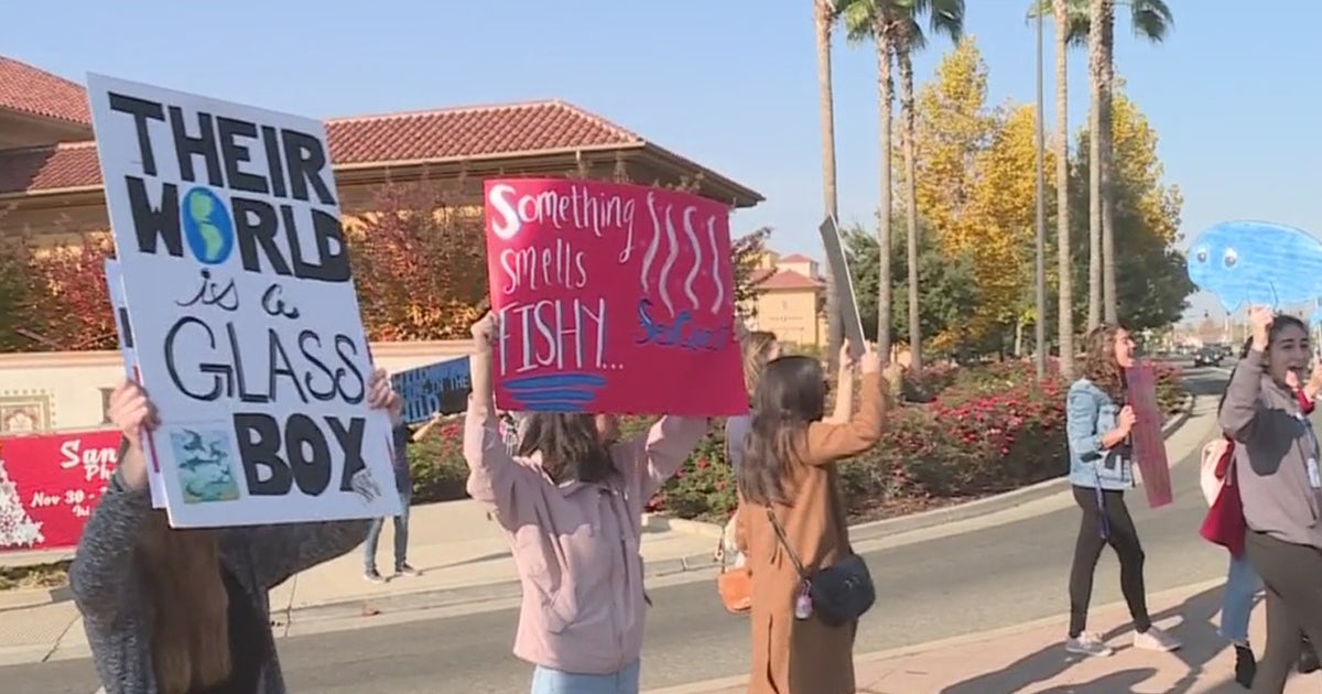 PETA Protesters Gather Outside Opening Of New SeaQuest Aquarium In ...