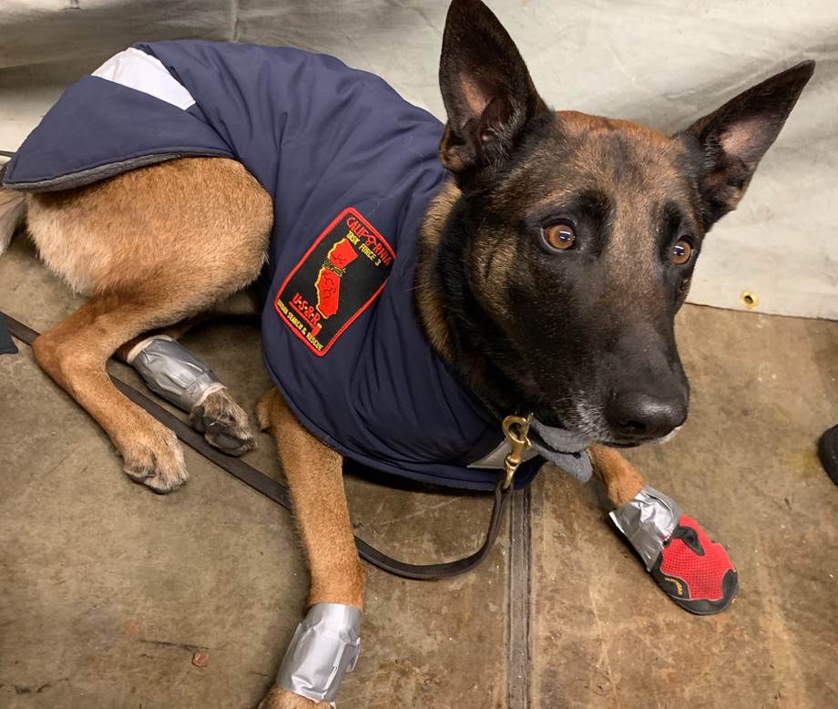 Bay Area Task Force Returns From Paradise After Weeklong Search - CBS ...