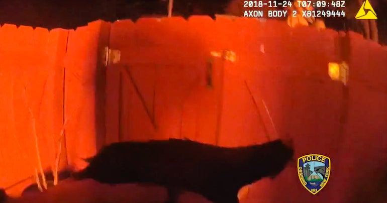 Captain Cluck? Police Officer Rescues Chicken From Fire - CBS Texas