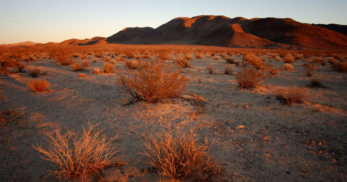 Earthquakes Just Hours Apart Rattle Southern California Communities ...
