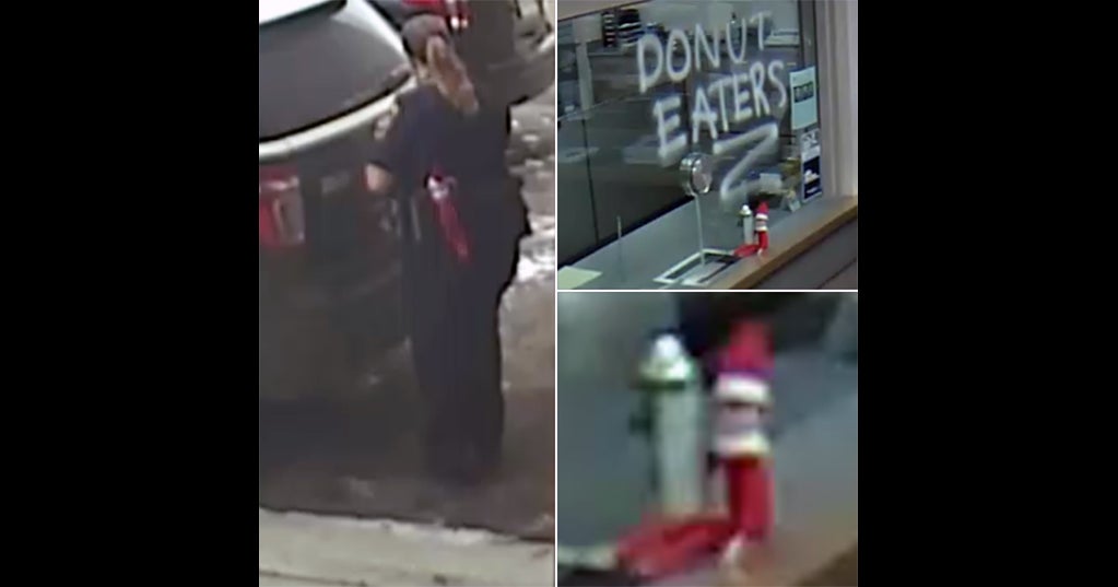 Rosemount PD: Vandalism Suspect Looks Suspiciously Like Elf On The ...