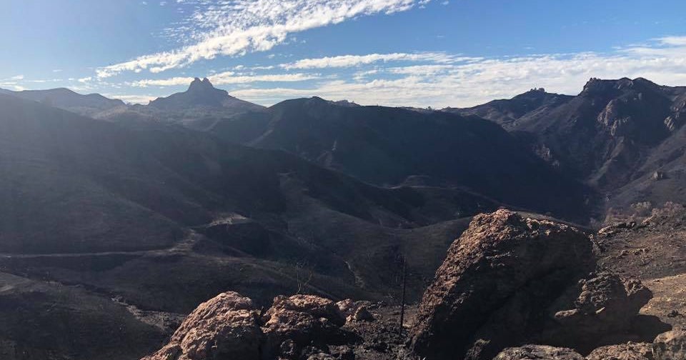 Volunteers restore 100,000 native plants in the Santa Monica Mountains ...