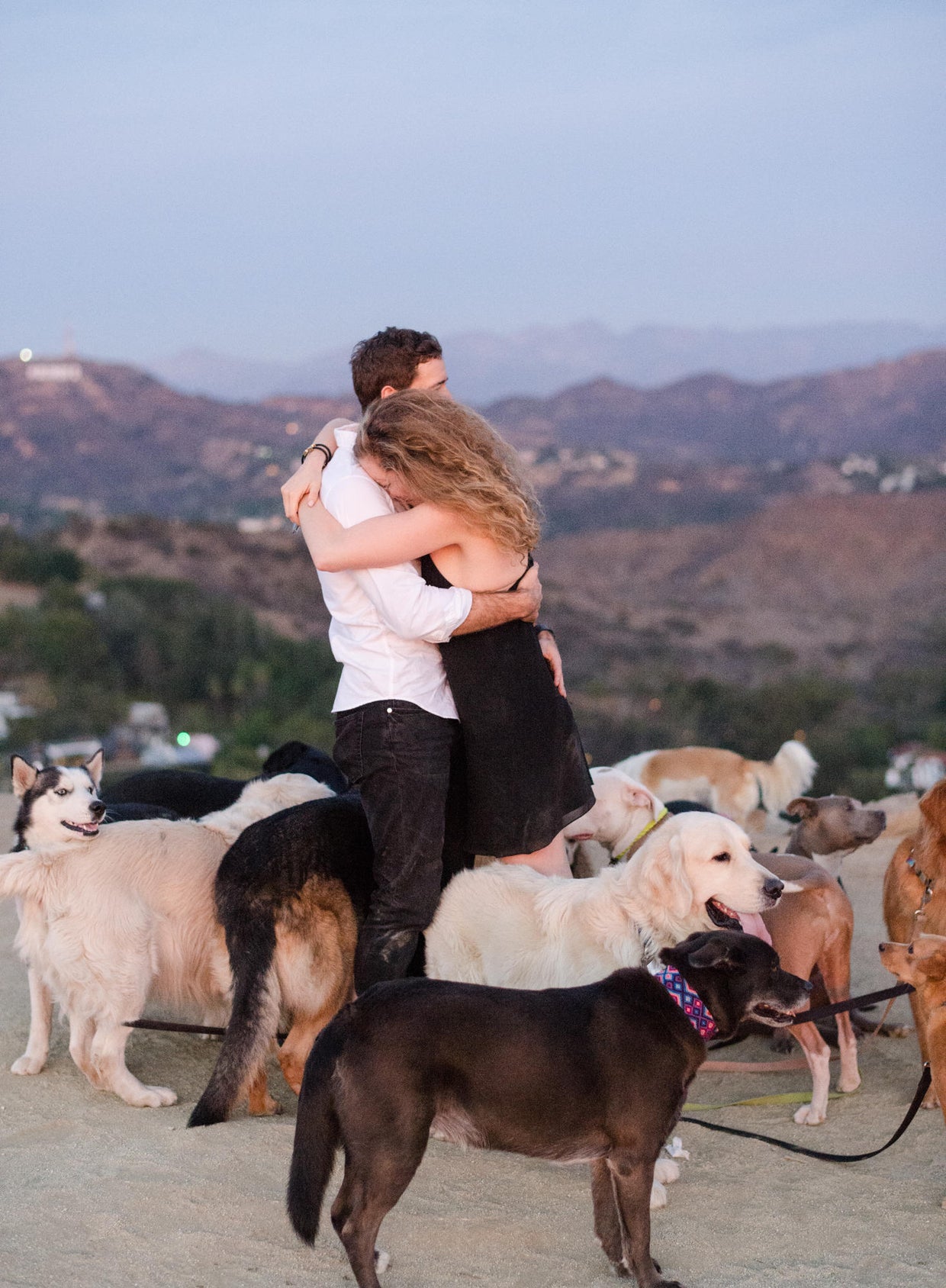 Man proposes with 16 dogs: Boyfriend surprises girlfriend with pups in ...
