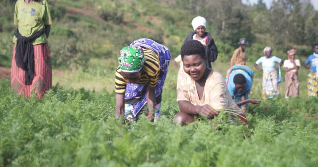 Rwandan women rebuild their country from the ground up after genocide ...