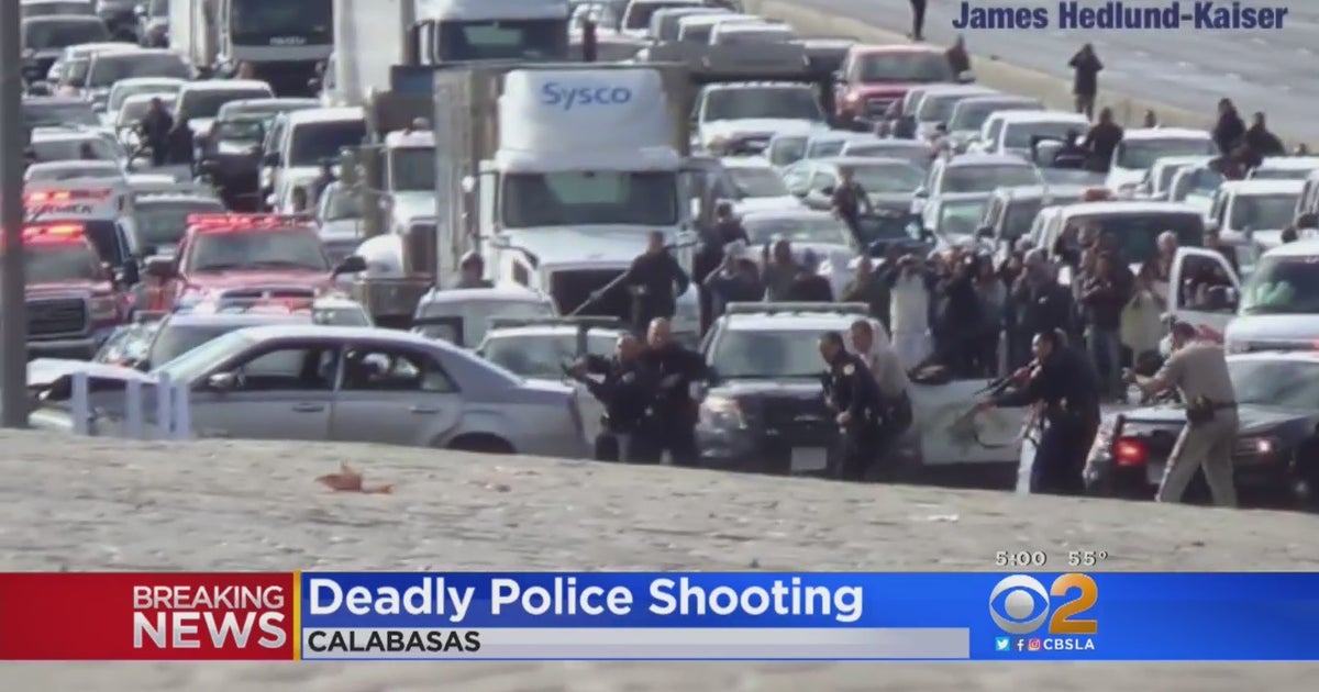 Domestic Violence Suspect Shot And Killed At End Of Pursuit On 101 ...