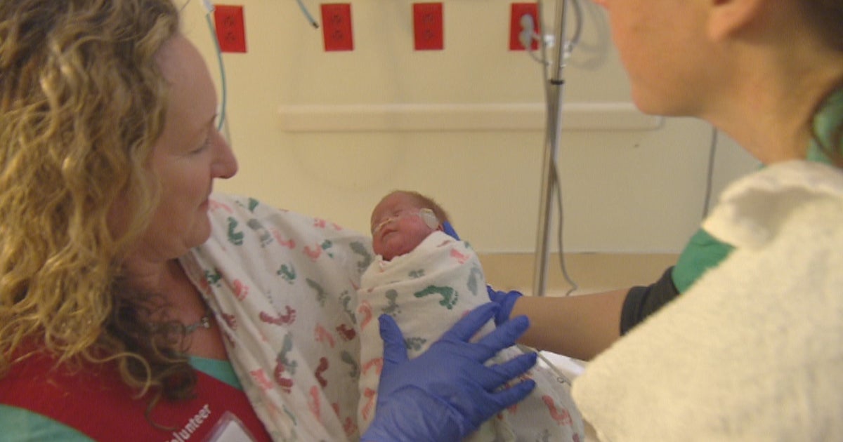 Calling All 'Cuddlers' To Volunteer - CBS Colorado
