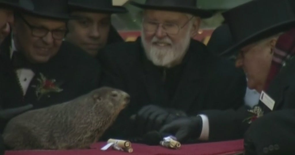 Groundhog Day: Punxsutawney Phil Predicts Early Spring - CBS Pittsburgh
